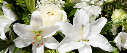 ASDAN | Curriculum Development Organisation and Awarding Body